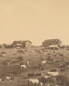 Vail Arizona History