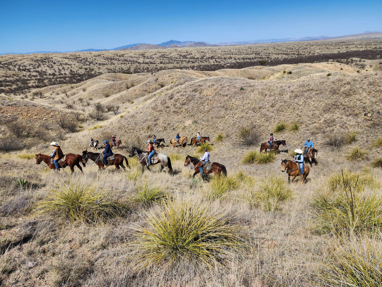 Spring Trail Ride | Empire Ranch Foundation