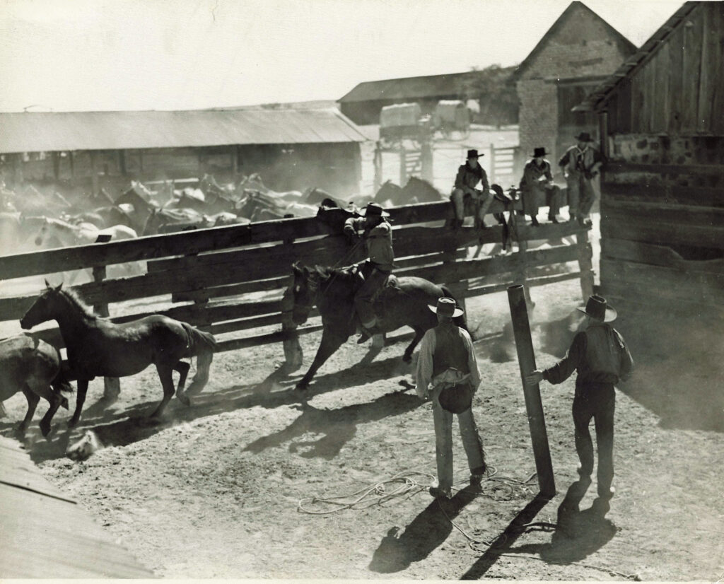 The Filming of Red River | Empire Ranch Foundation