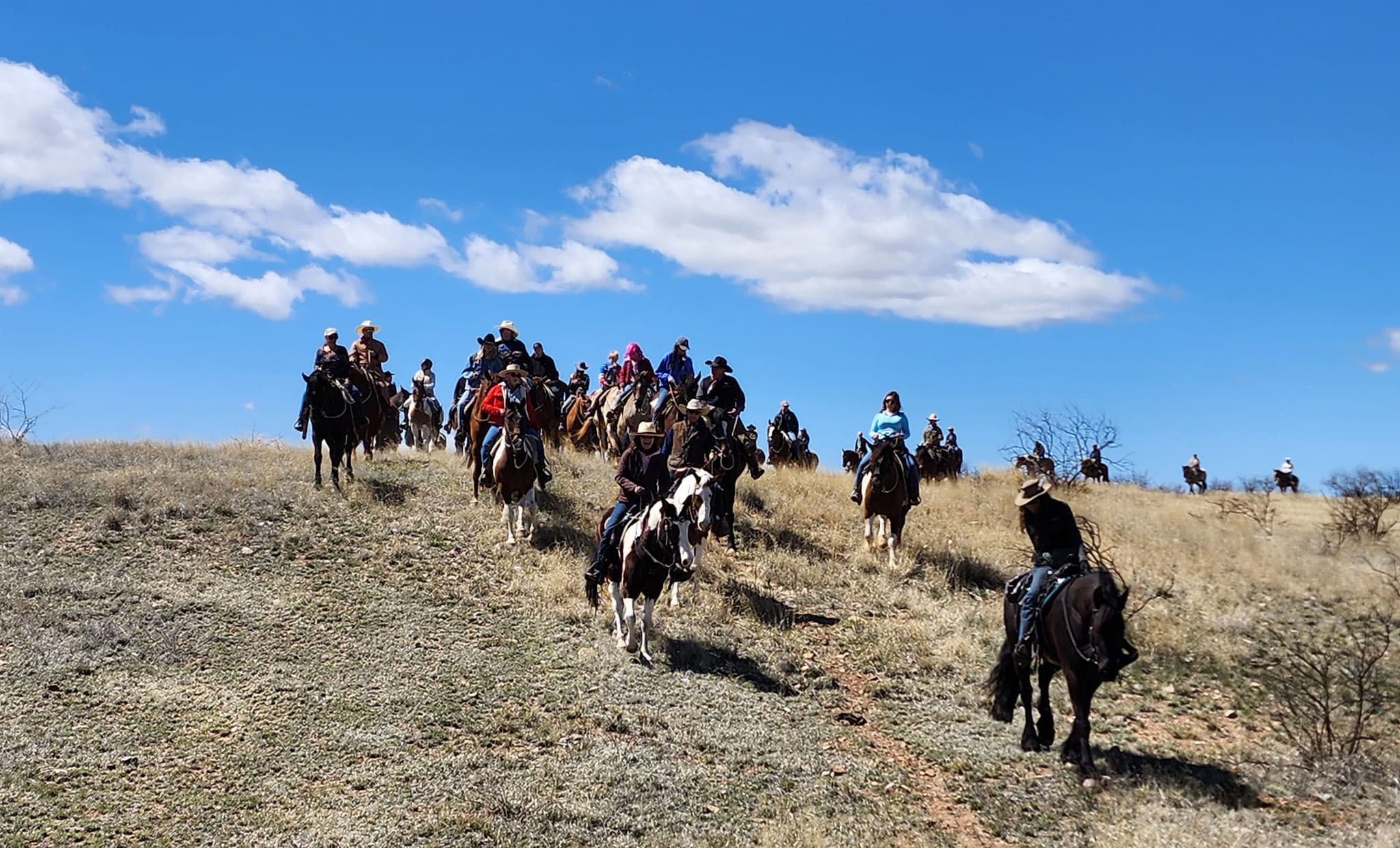 Empire Ranch Foundation - Preserving the Empire Ranch for Future ...
